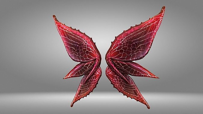 3D model Butterfly Wing VR / AR / low-poly | CGTrader