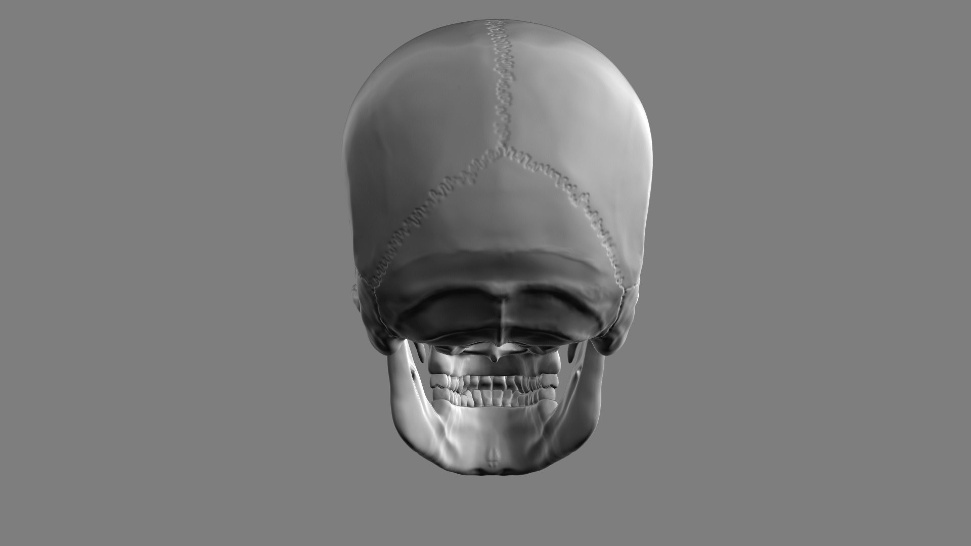 3D Detailed High Poly Human Skull 3D model | CGTrader