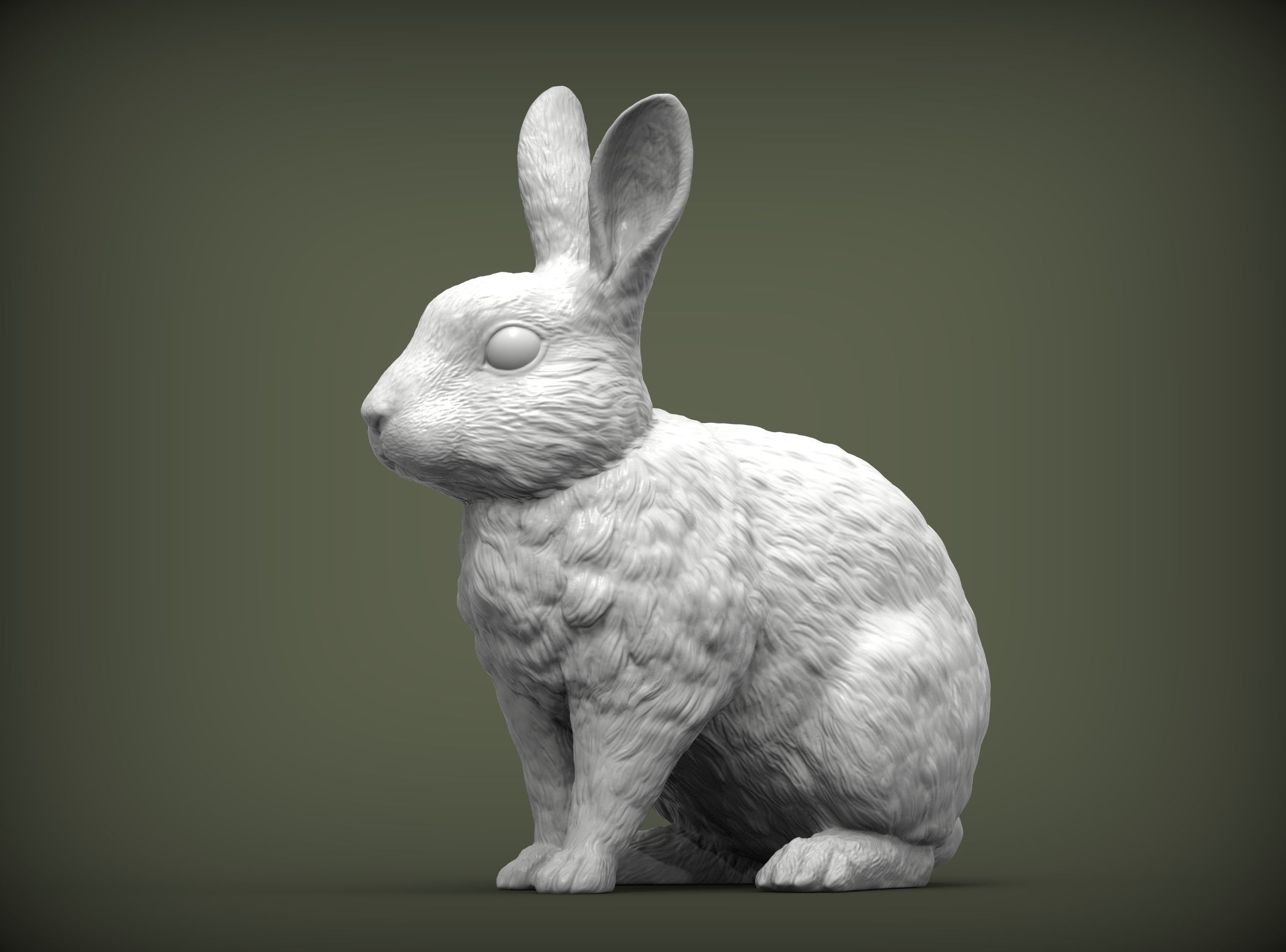 Rabbit rex agouti 3D model 3D printable | CGTrader