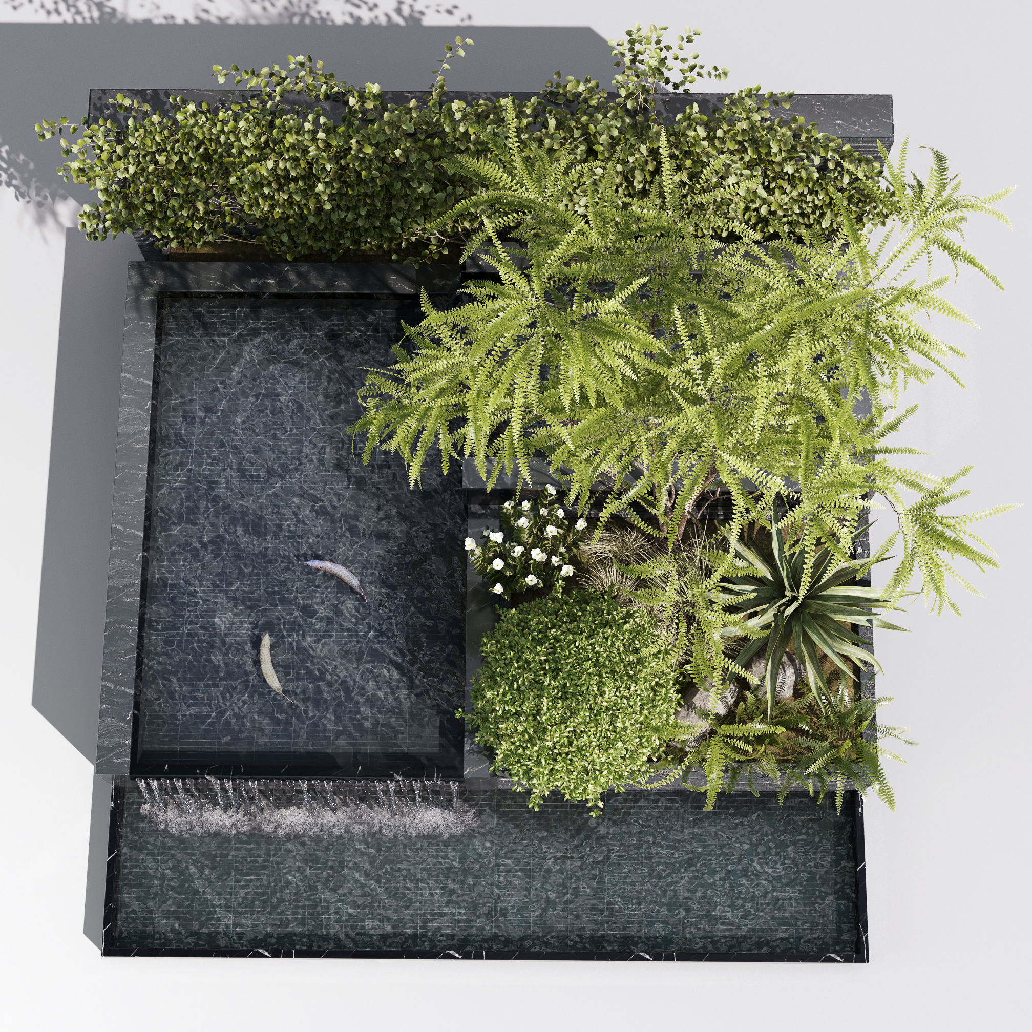 Water Ponds With Plants and Fish 3D model | CGTrader