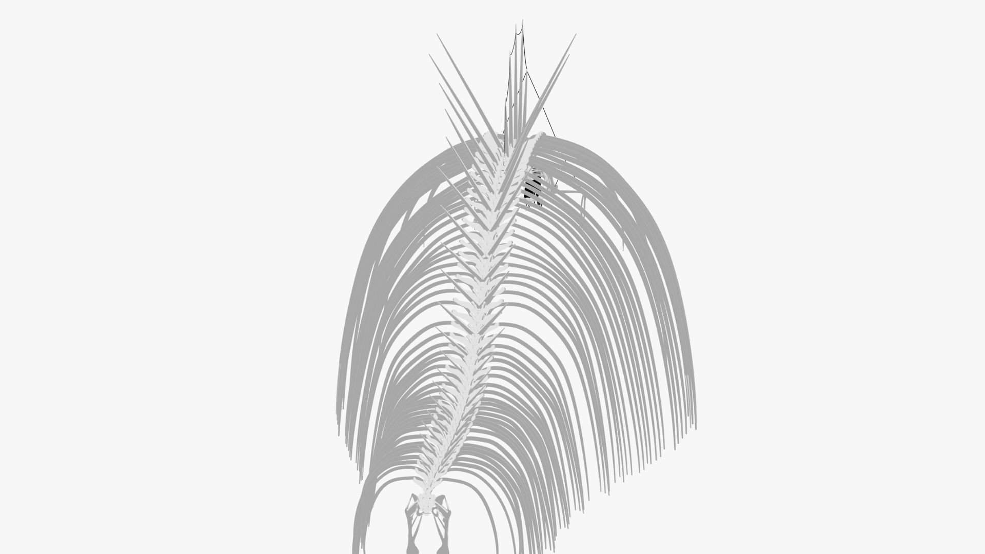 Eren Founding Titan 3D model animated rigged | CGTrader