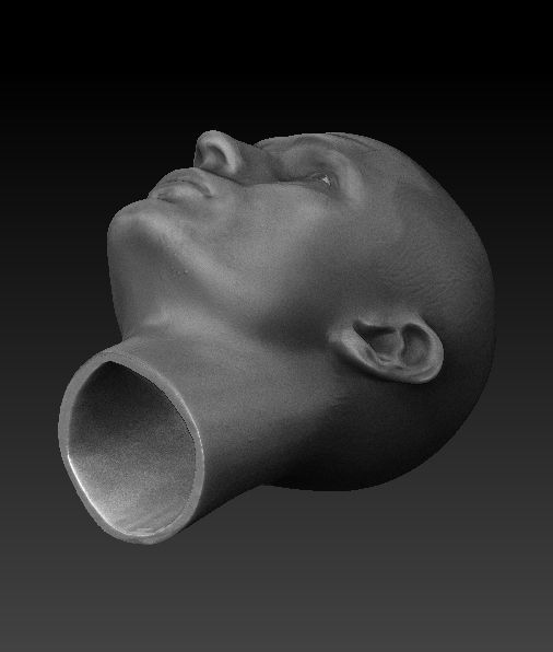 ONE6 SCALE HEAD - STARKILLER - STAR WARS FORCE UNLEASHED 3D model 3D ...