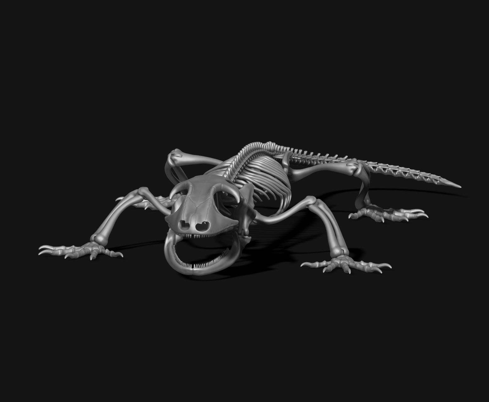 Gecko Skeleton DYS kit 3D model 3D printable | CGTrader