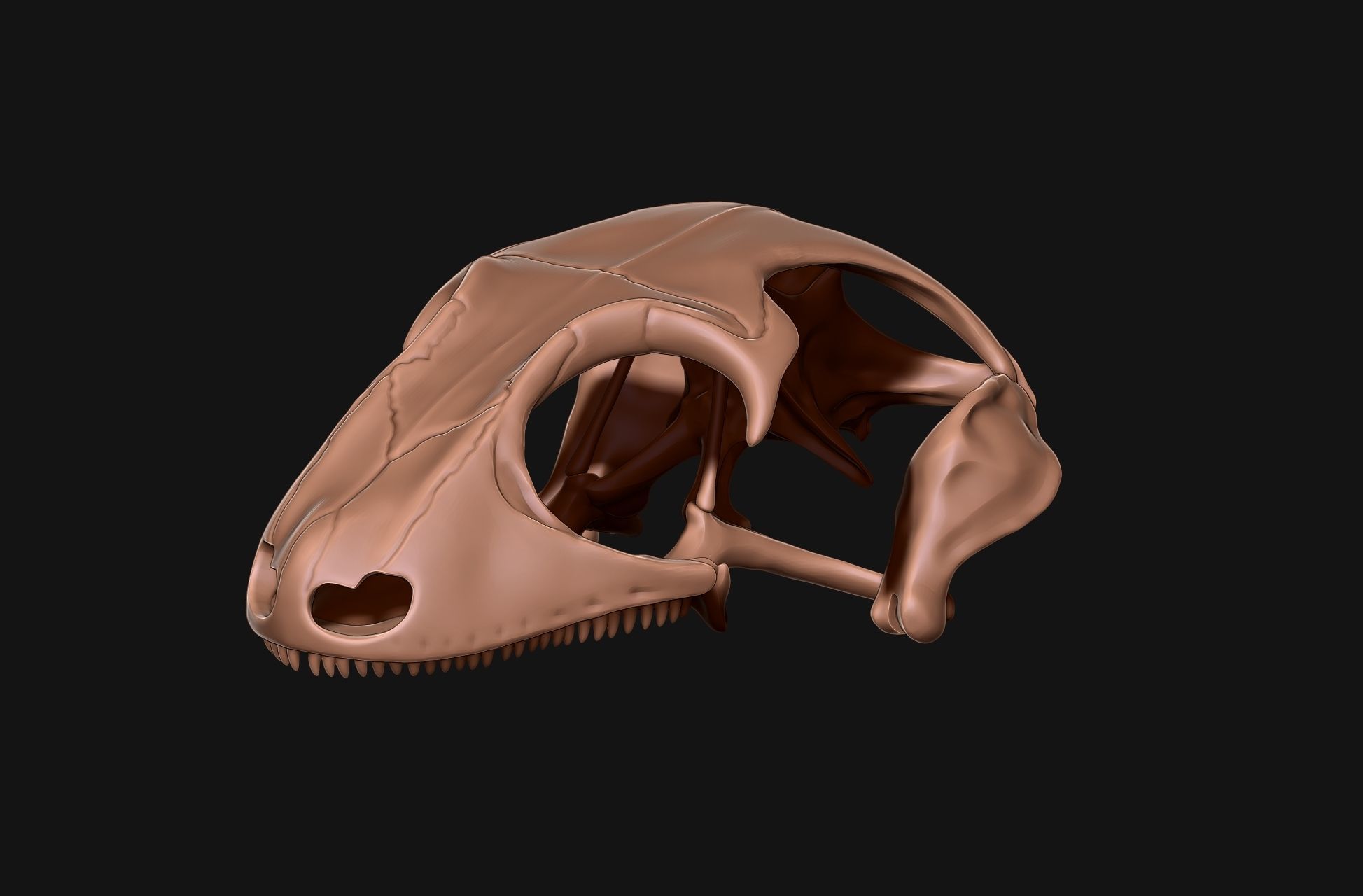 Gecko Skeleton DYS kit 3D model 3D printable | CGTrader