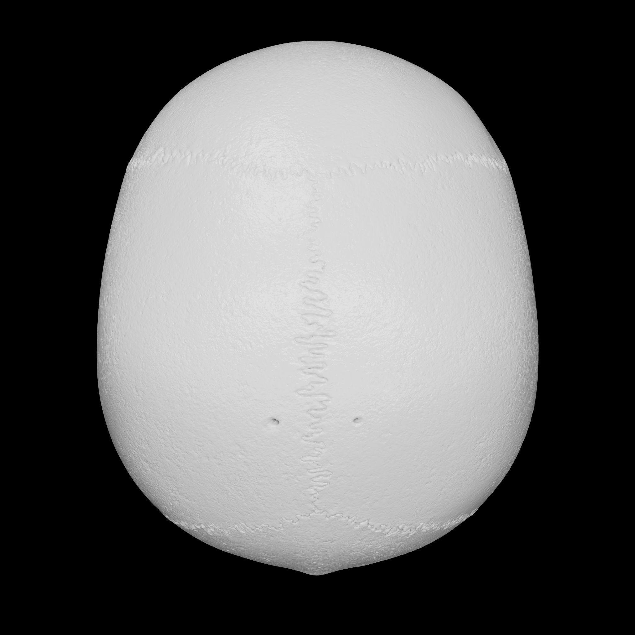 Skeleton - Skeletal System - 3D Printing 3D model 3D printable | CGTrader