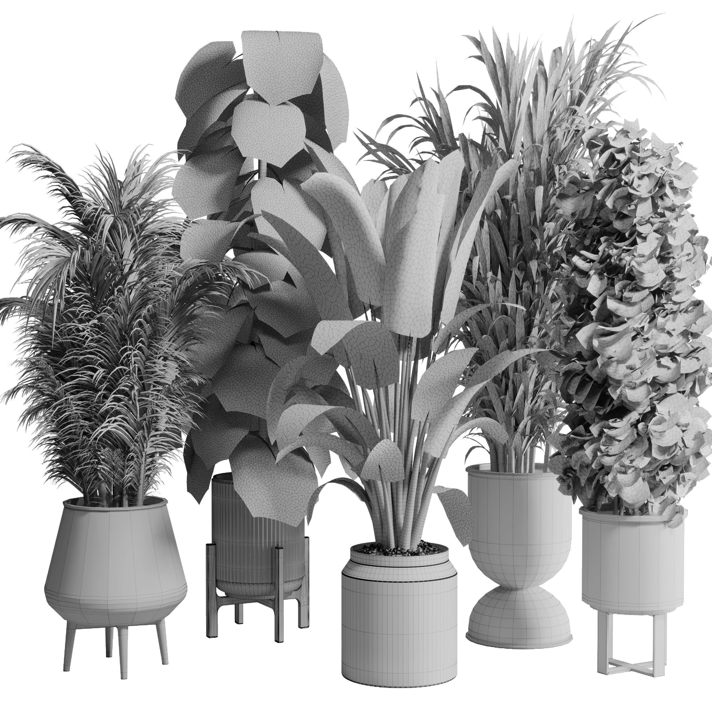 3D model indoor plant set 345 ravenala bamboo monstera palm concrete vase VR / AR / low-poly ...