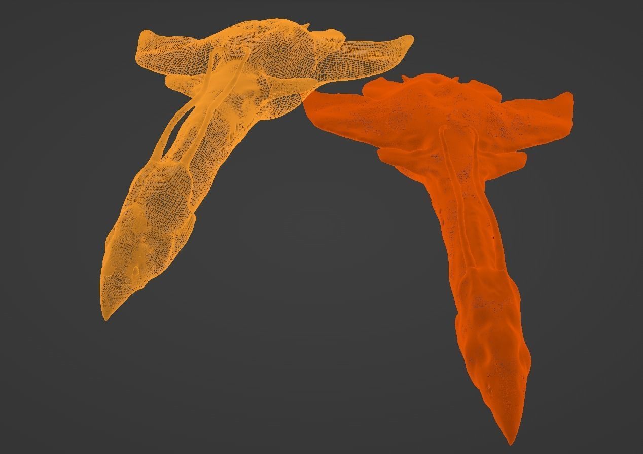 Ilu avatar the way of water 3D model animated rigged | CGTrader