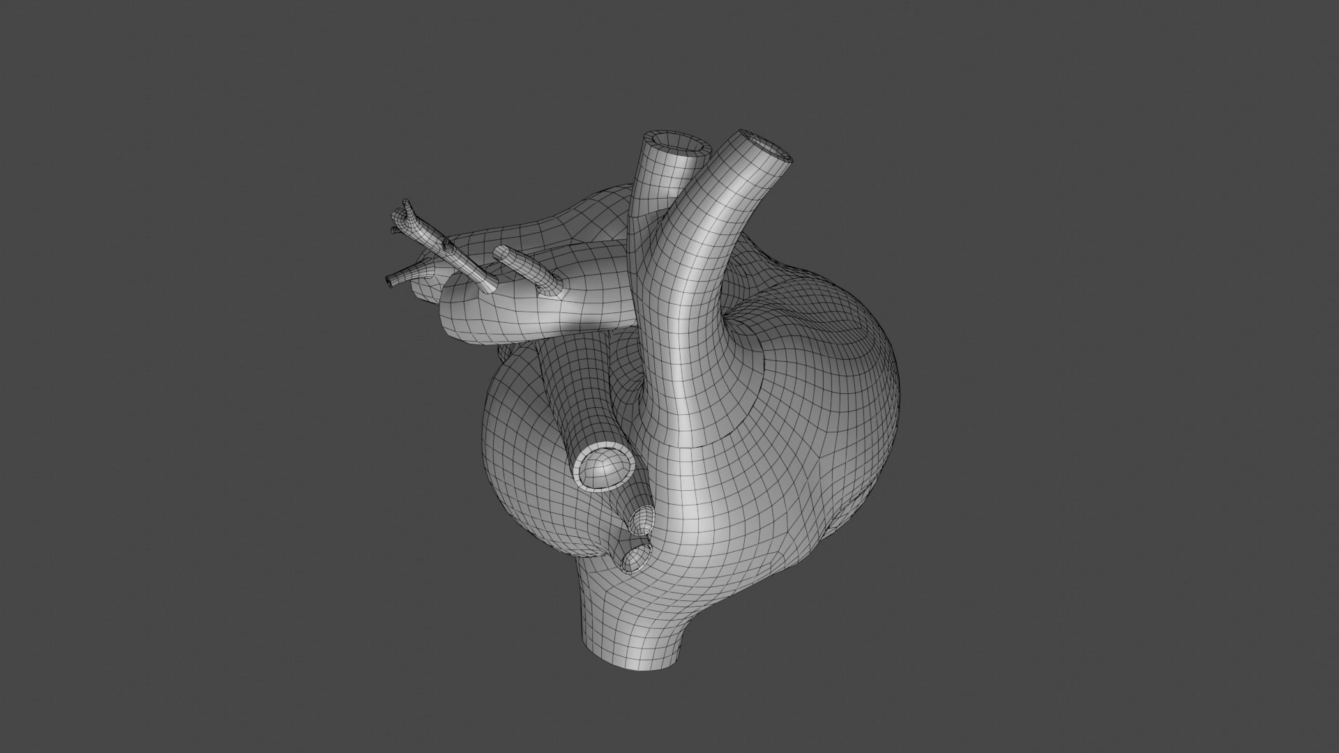 3D model Anatomical model of the human heart VR / AR / low-poly | CGTrader