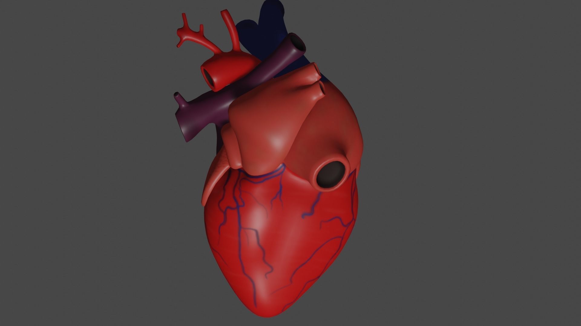 3D model Anatomical model of the human heart VR / AR / low-poly | CGTrader