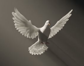 Dove 3D Models | CGTrader