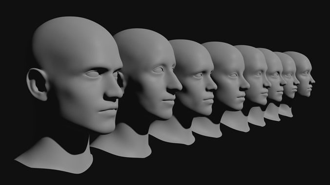 Basic face shapes with the correct topology 3D model | CGTrader