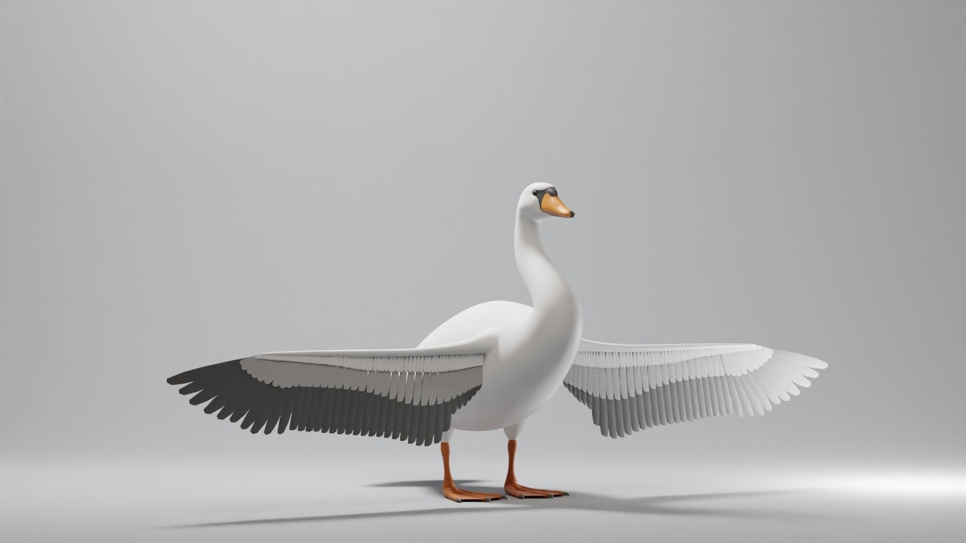 3D model Swan Base Mesh VR / AR / low-poly | CGTrader