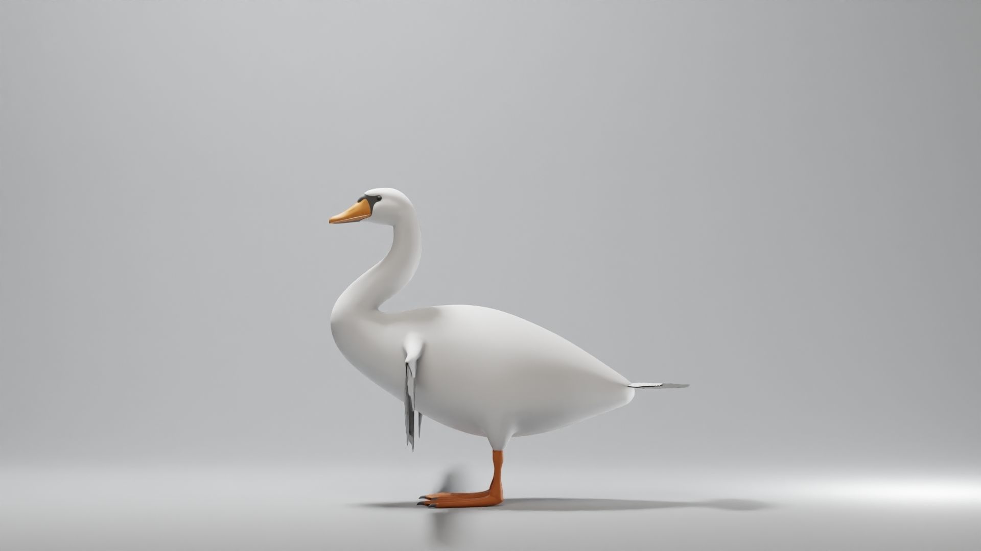 3D model Swan Base Mesh VR / AR / low-poly | CGTrader