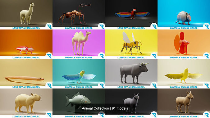 Animal Collection parrot with wings spread VR / AR / low-poly | CGTrader