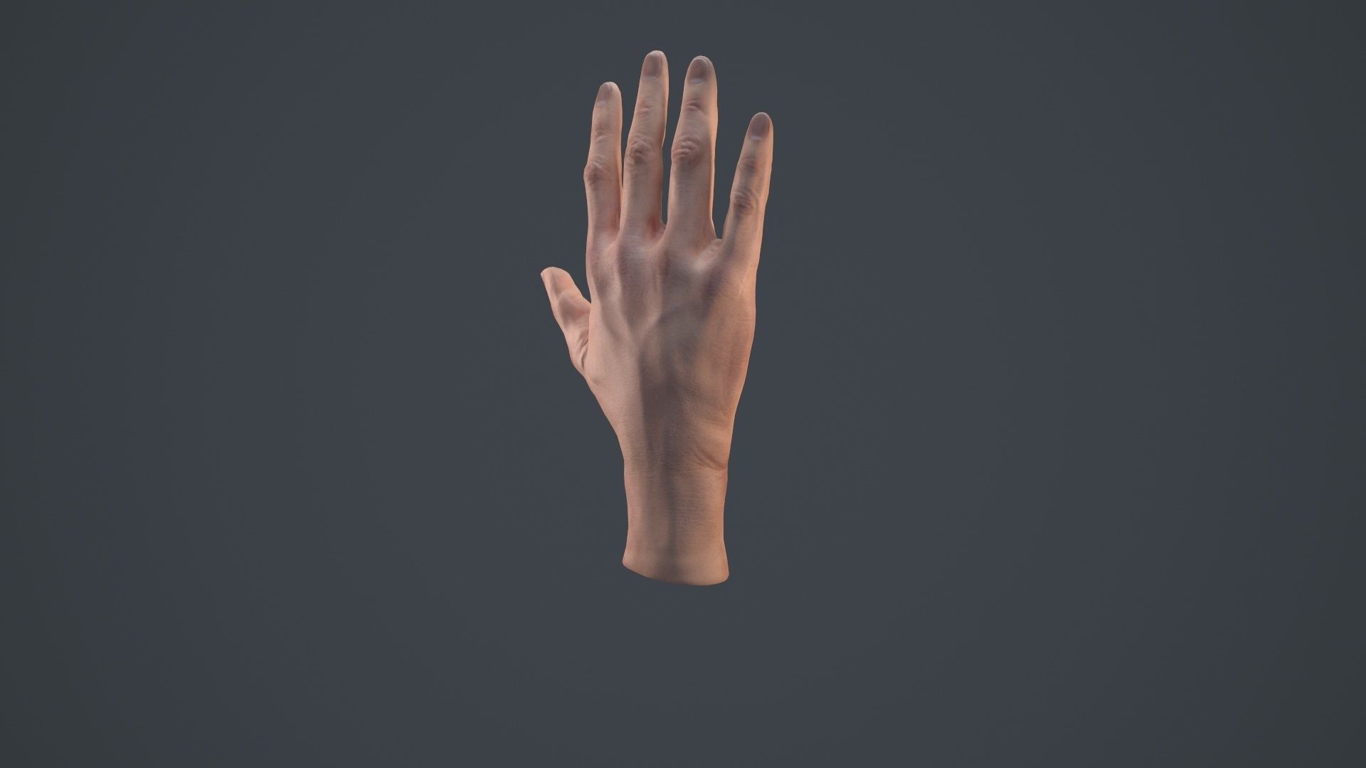 3D model Male Hand VR / AR / low-poly | CGTrader