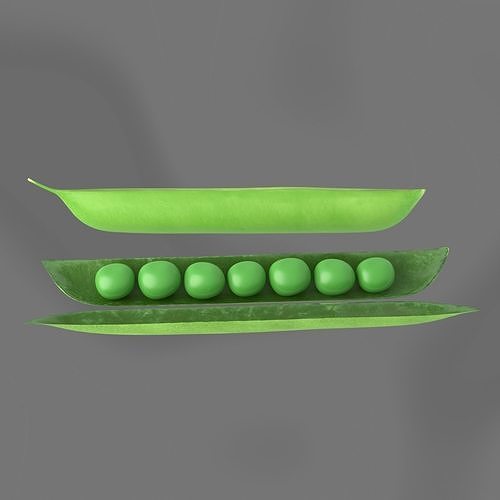 Green beans 3D model | CGTrader