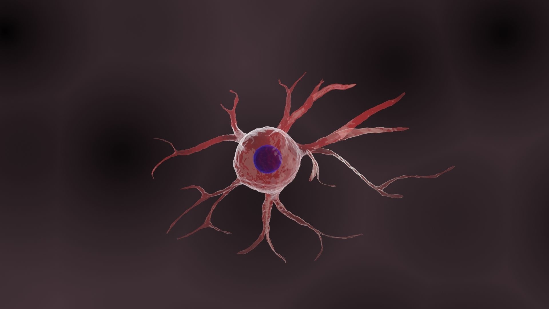 Astrocyte or Astroglia 3D model | CGTrader