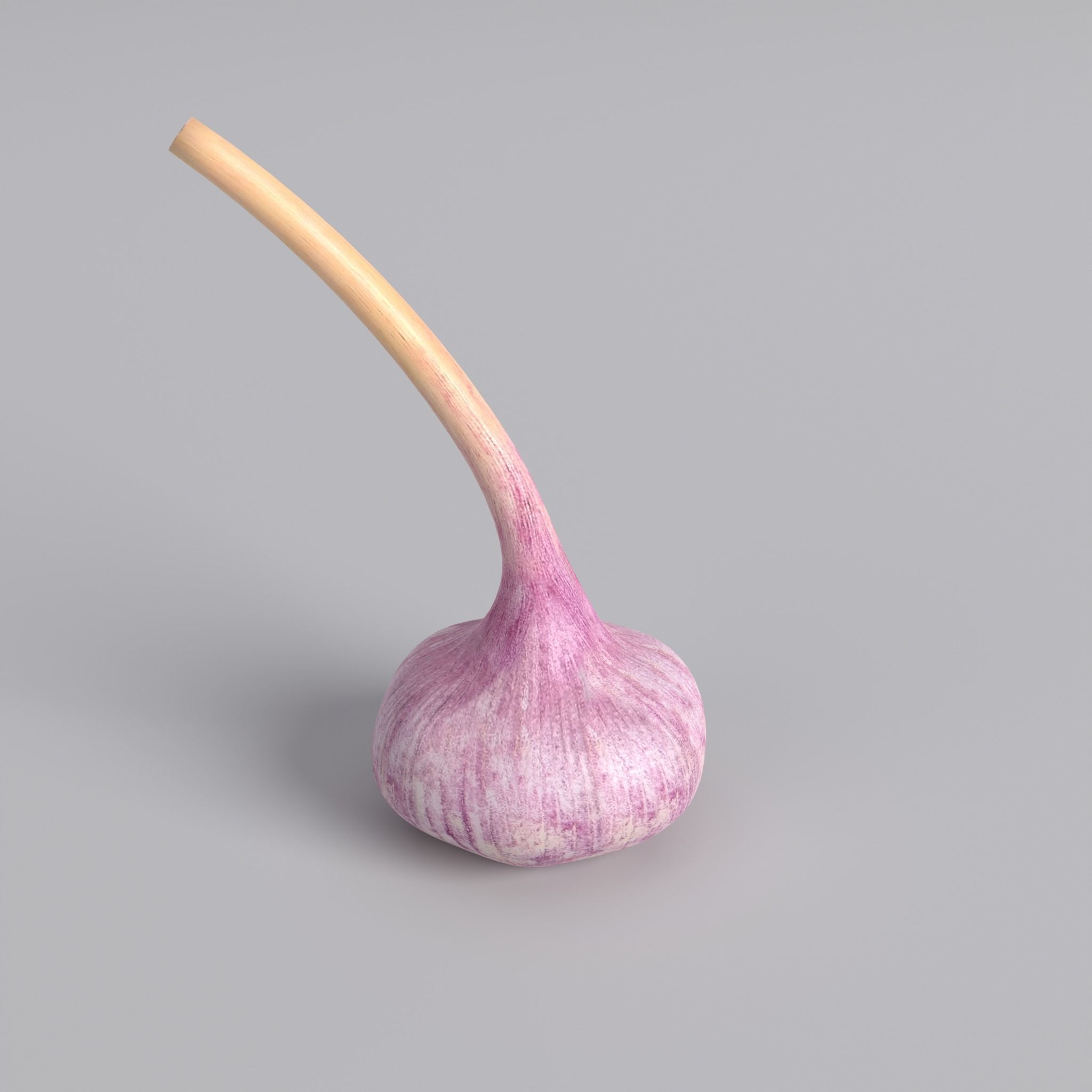 Purple garlic 3D model | CGTrader