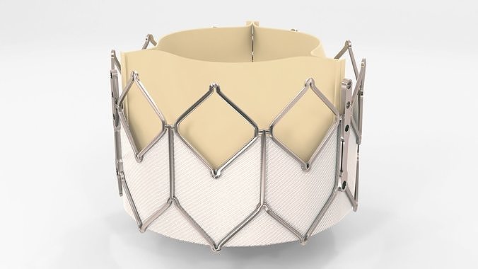 Heart Aortic Valve Implant - rigged and animated 3D model rigged | CGTrader