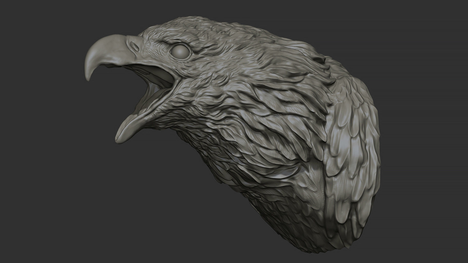 Bald Eagle head 3D model 3D printable | CGTrader