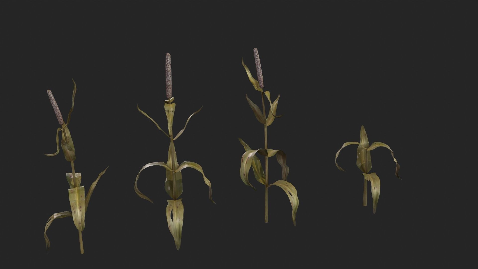3D model Bajra Crops With LODs and Pbr Game and Metaverse Ready VR / AR ...