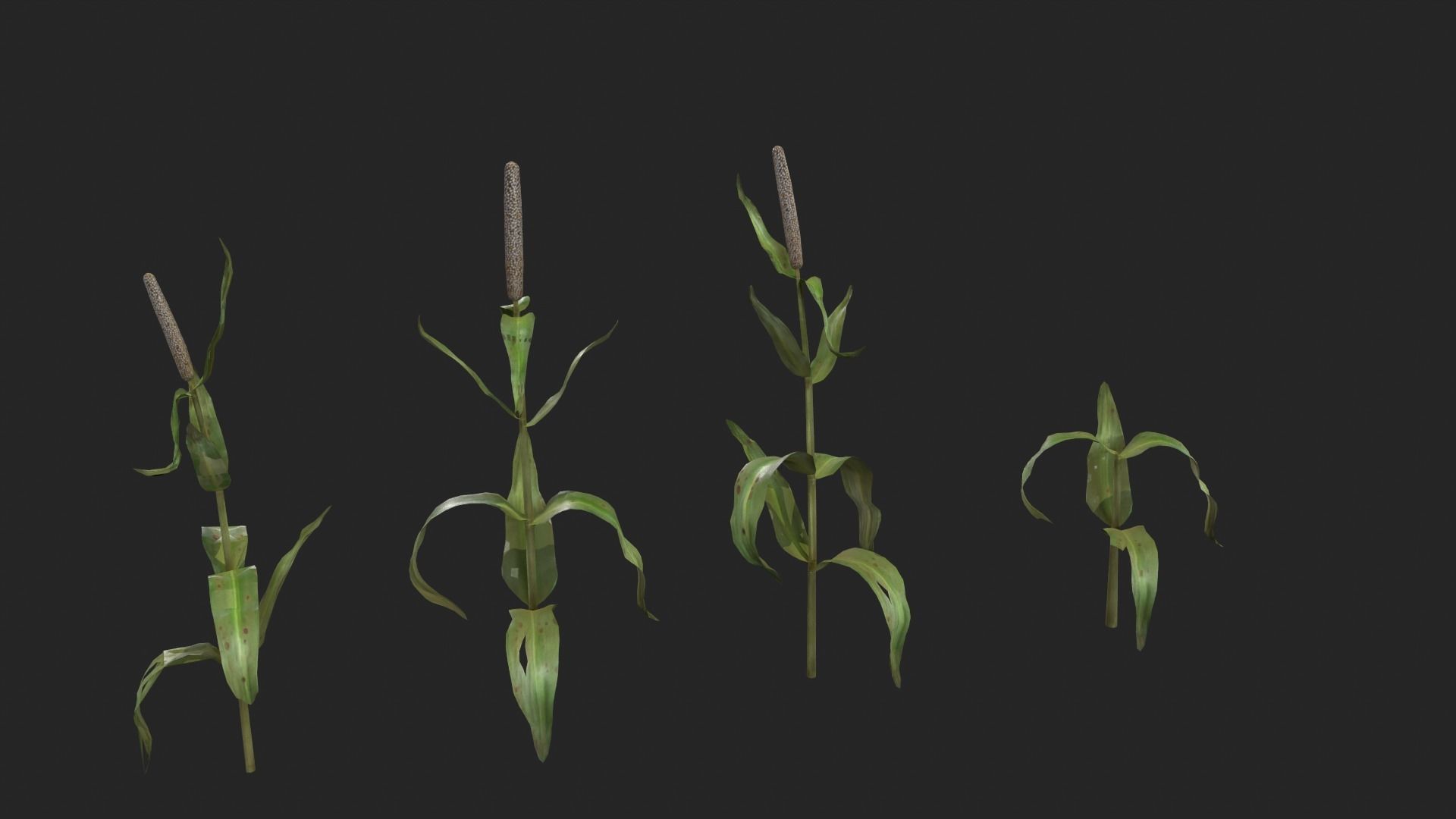 3D model Bajra Crops With LODs and Pbr Game and Metaverse Ready VR / AR ...