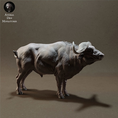 Cape Buffalo 3D model 3D printable | CGTrader