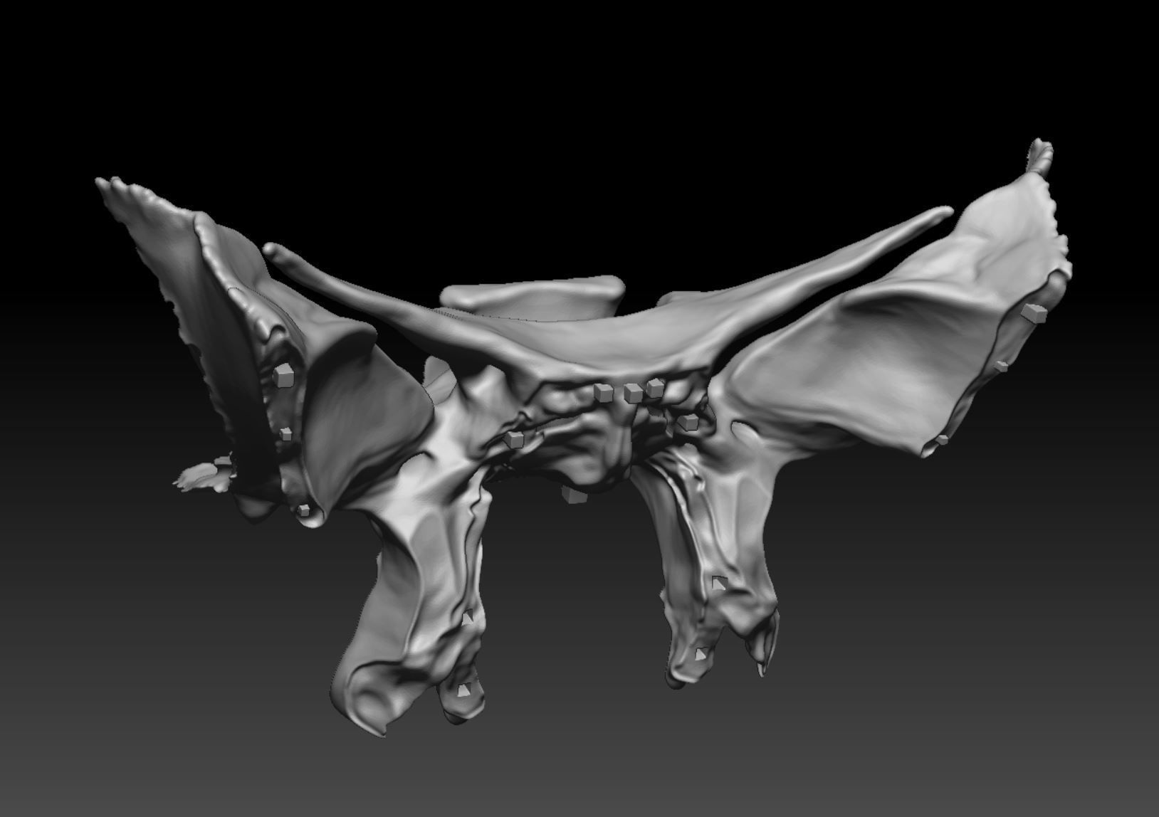 Skull Bones - 3D Printing 3D model 3D printable | CGTrader