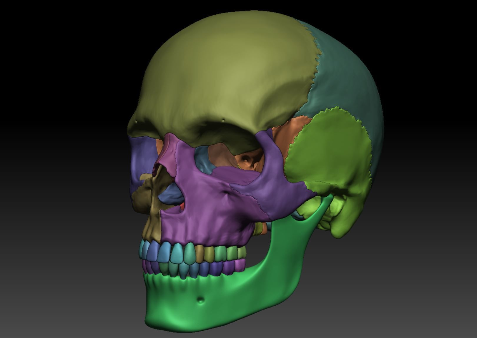 Skull Bones - 3D Printing 3D model 3D printable | CGTrader