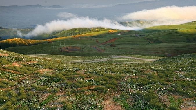 prairie 3D model animated rigged | CGTrader