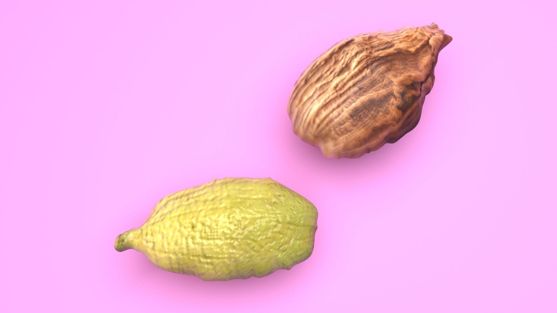 Green and Brown Cardamom 3D model | CGTrader