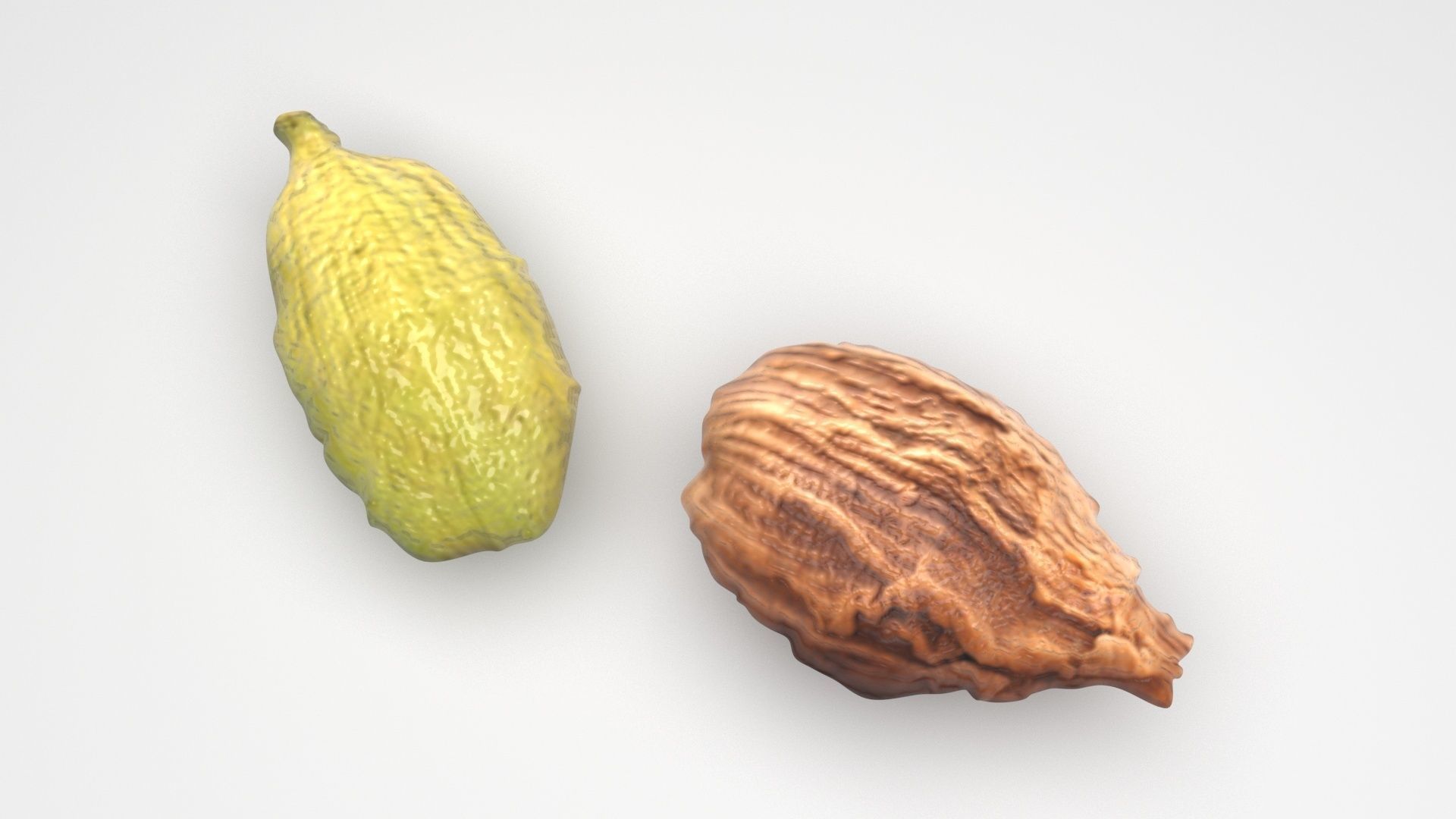 Green and Brown Cardamom 3D model | CGTrader