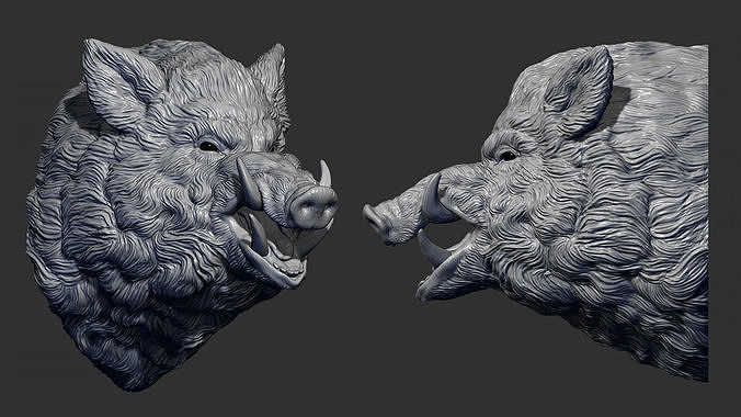 Wild boar hog 3D model 3D printable | CGTrader