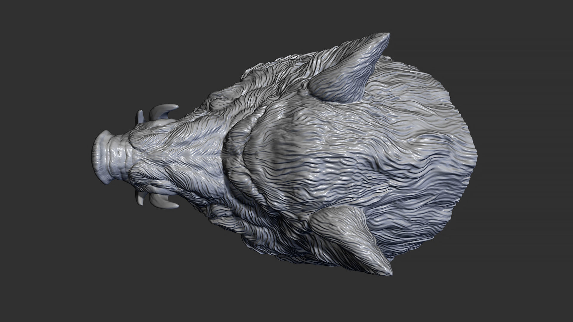 Wild boar hog 3D model 3D printable | CGTrader