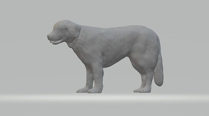 Golden Retriever 3D model 3D printable | CGTrader