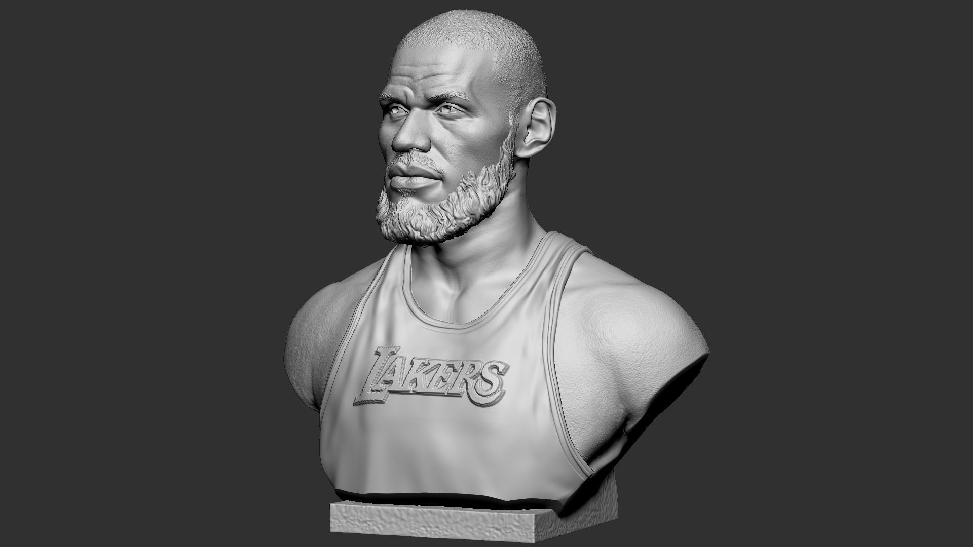 Lebron James 3D model 3D printable | CGTrader