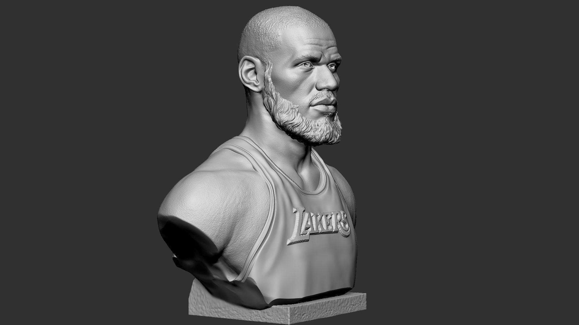 Lebron James 3D model 3D printable | CGTrader