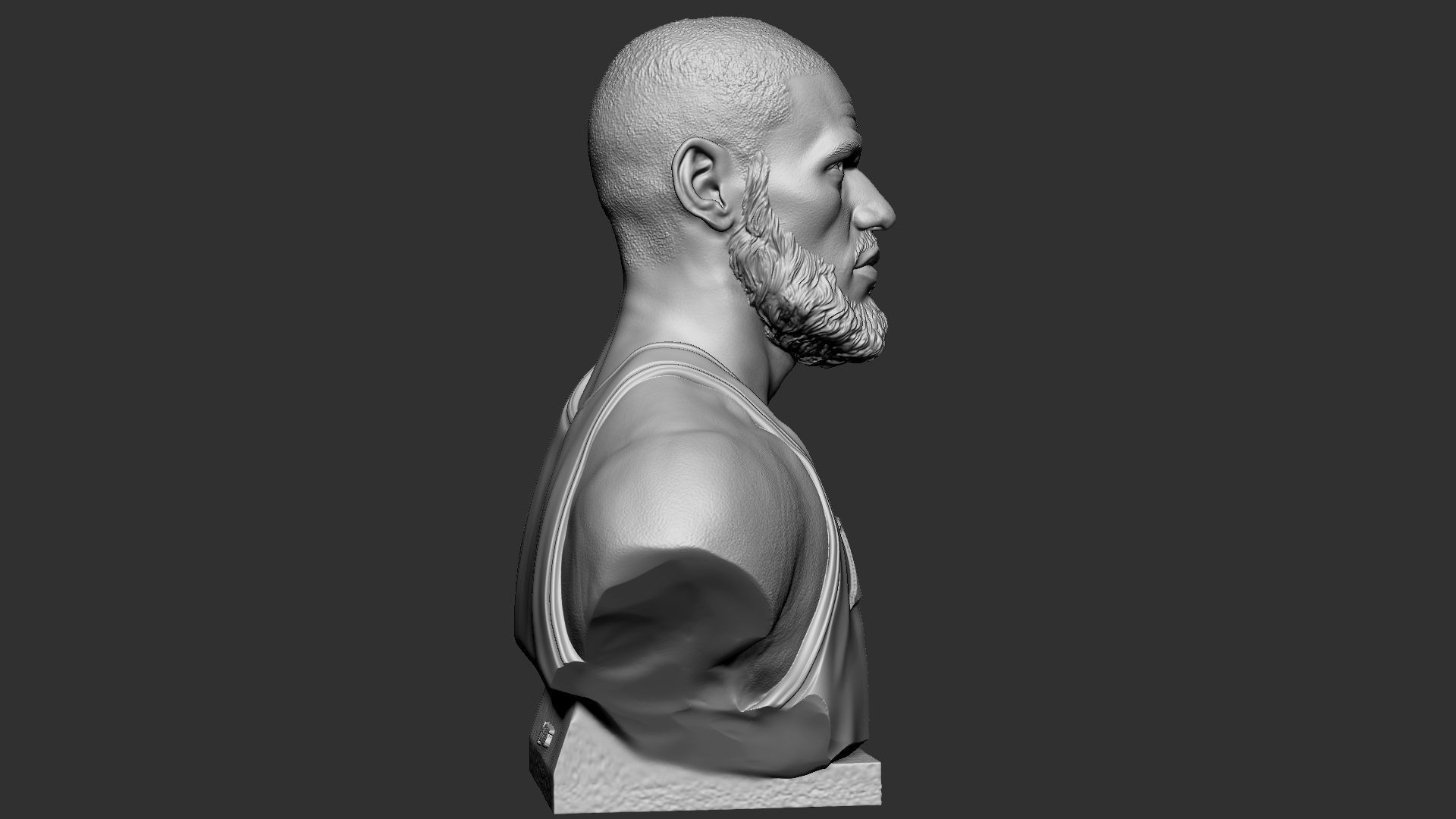 Lebron James 3D model 3D printable | CGTrader