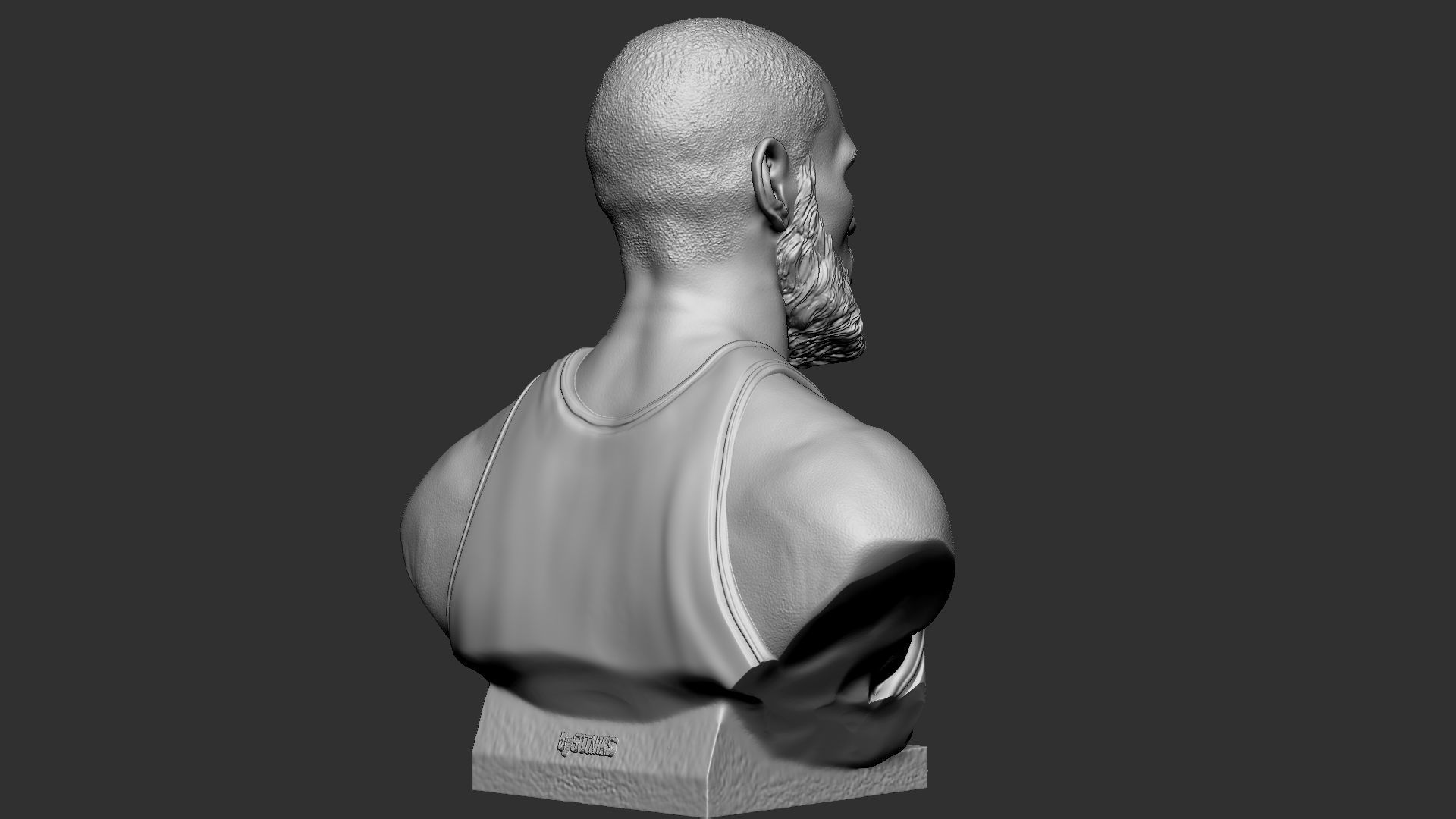 Lebron James 3D model 3D printable | CGTrader