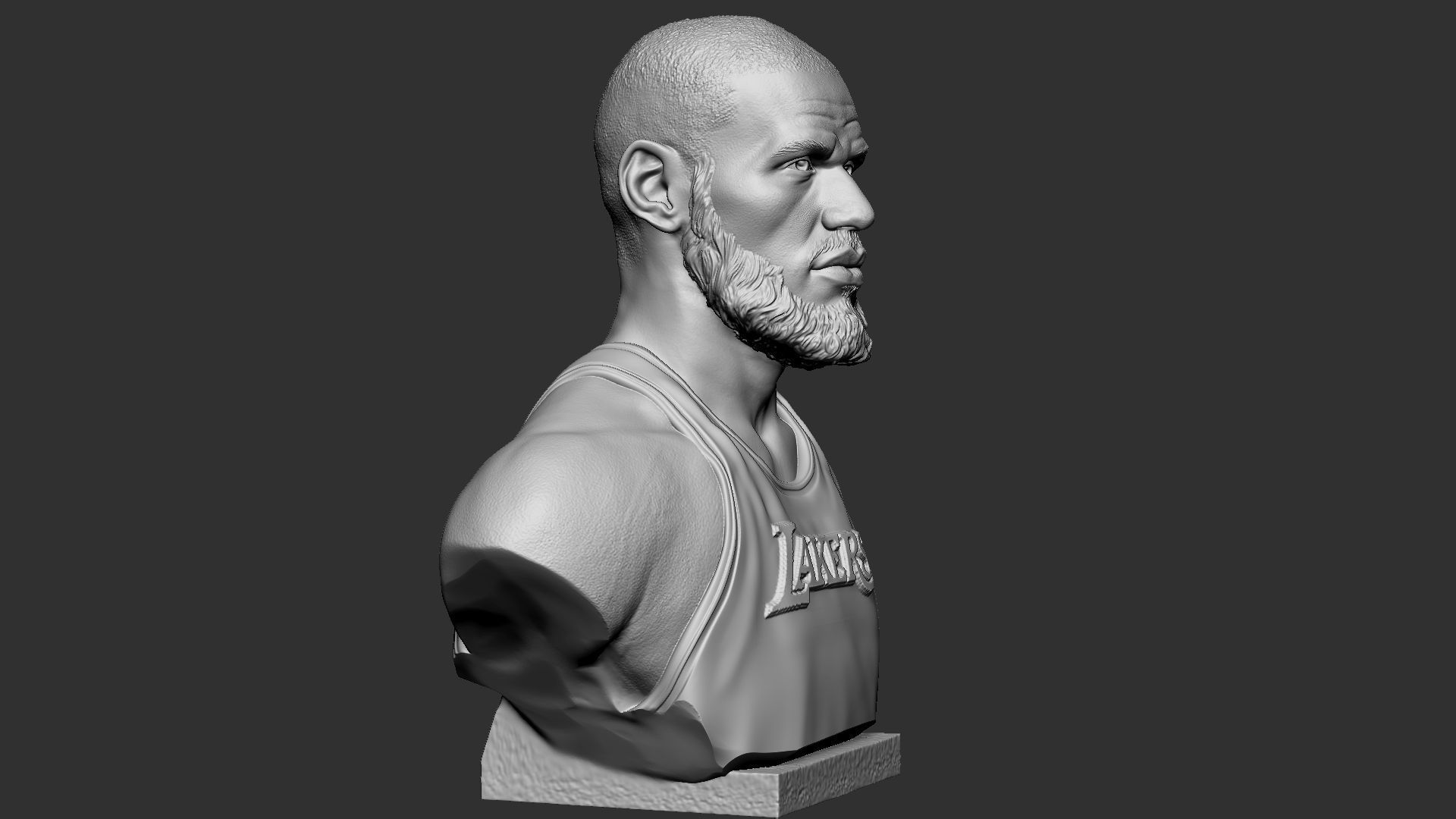 Lebron James 3D model 3D printable | CGTrader