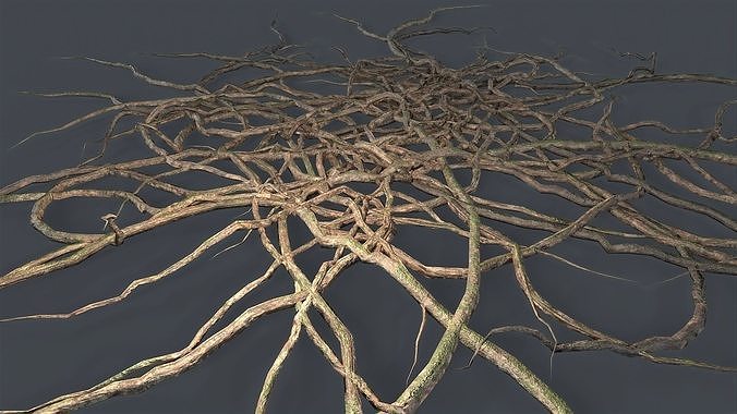 3D model Wood Roots VR / AR / low-poly | CGTrader