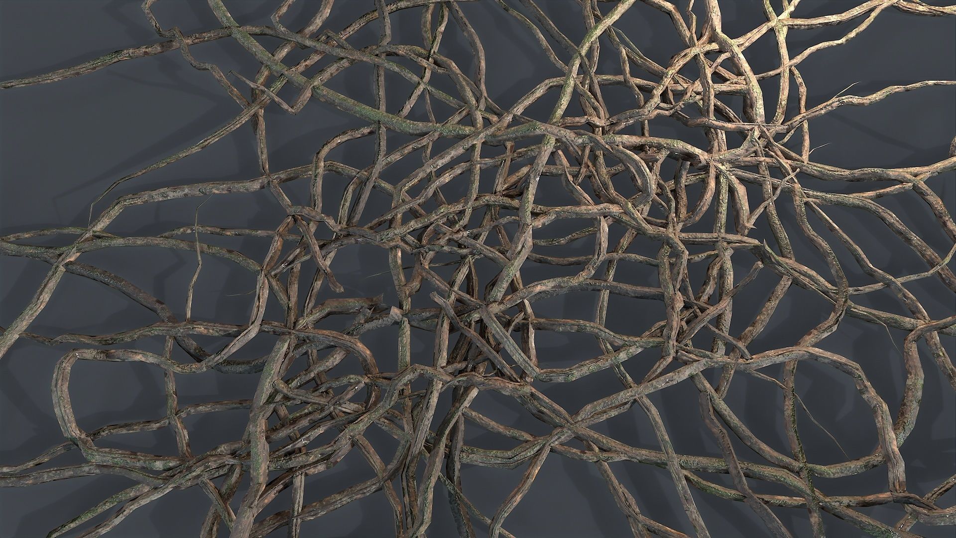 3D model Wood Roots VR / AR / low-poly | CGTrader