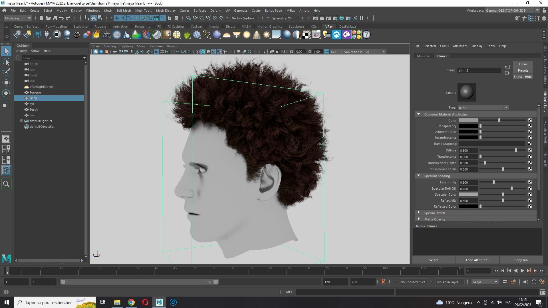 3D model Realistic Hair afro VR / AR / low-poly | CGTrader