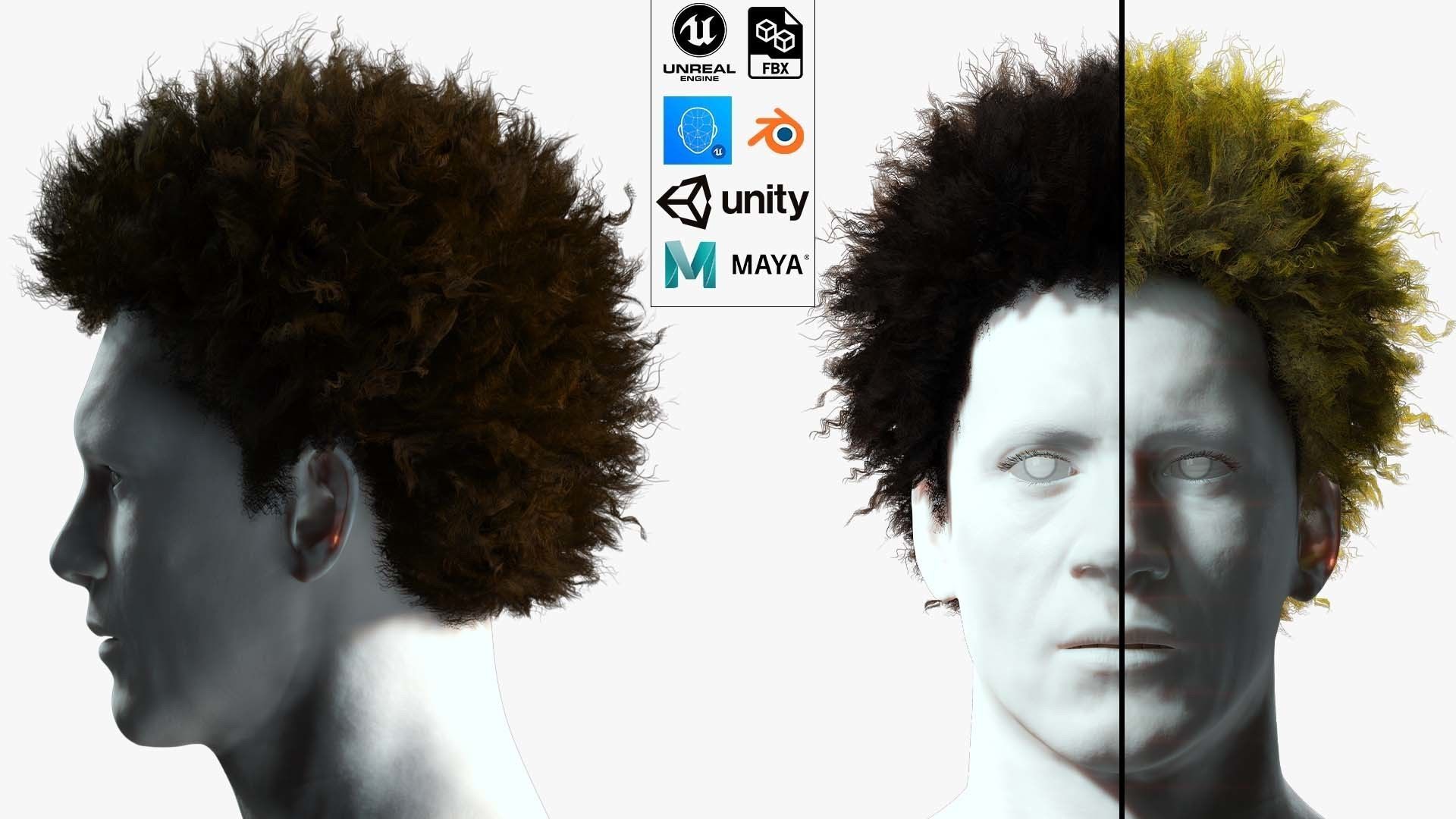 3D model Realistic Hair afro VR / AR / low-poly | CGTrader