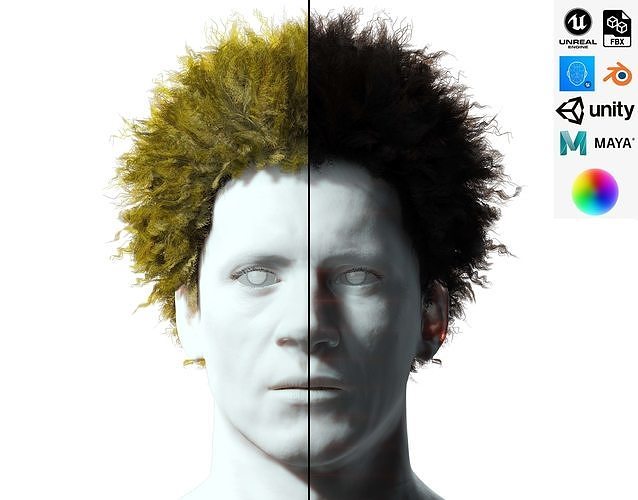 3D model Realistic Hair afro VR / AR / low-poly | CGTrader