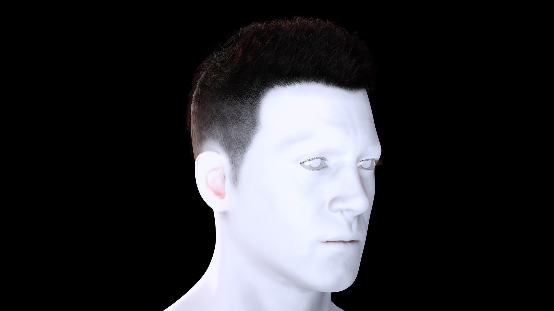 3D model Realistic Hair hawk VR / AR / low-poly | CGTrader