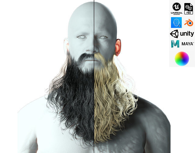 3D model Realistic Full Beard VR / AR / low-poly | CGTrader