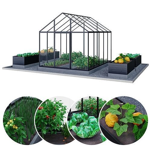 Greenhouse Kitchen garden 3D model | CGTrader
