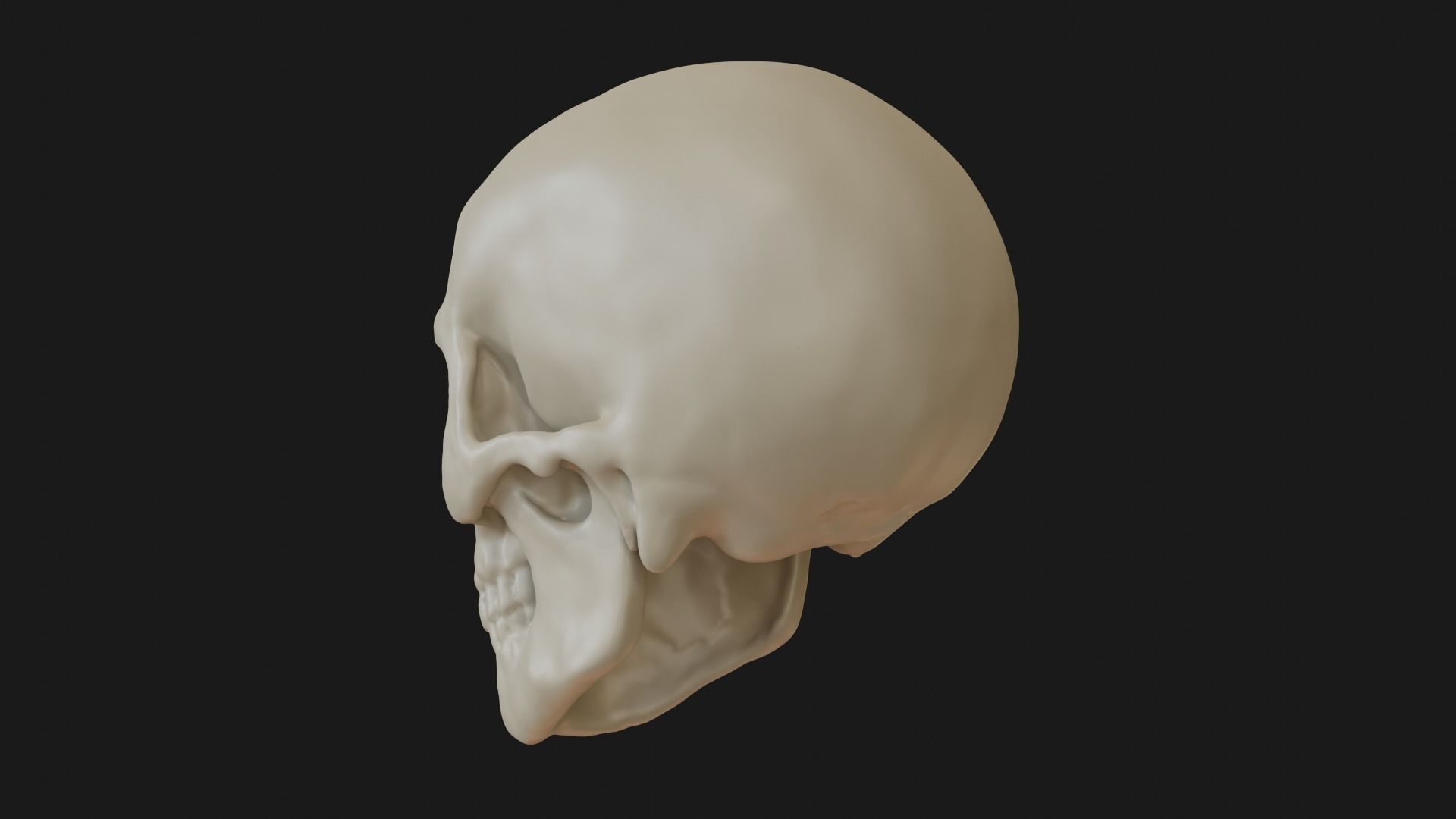 Male human skull 3D model | CGTrader