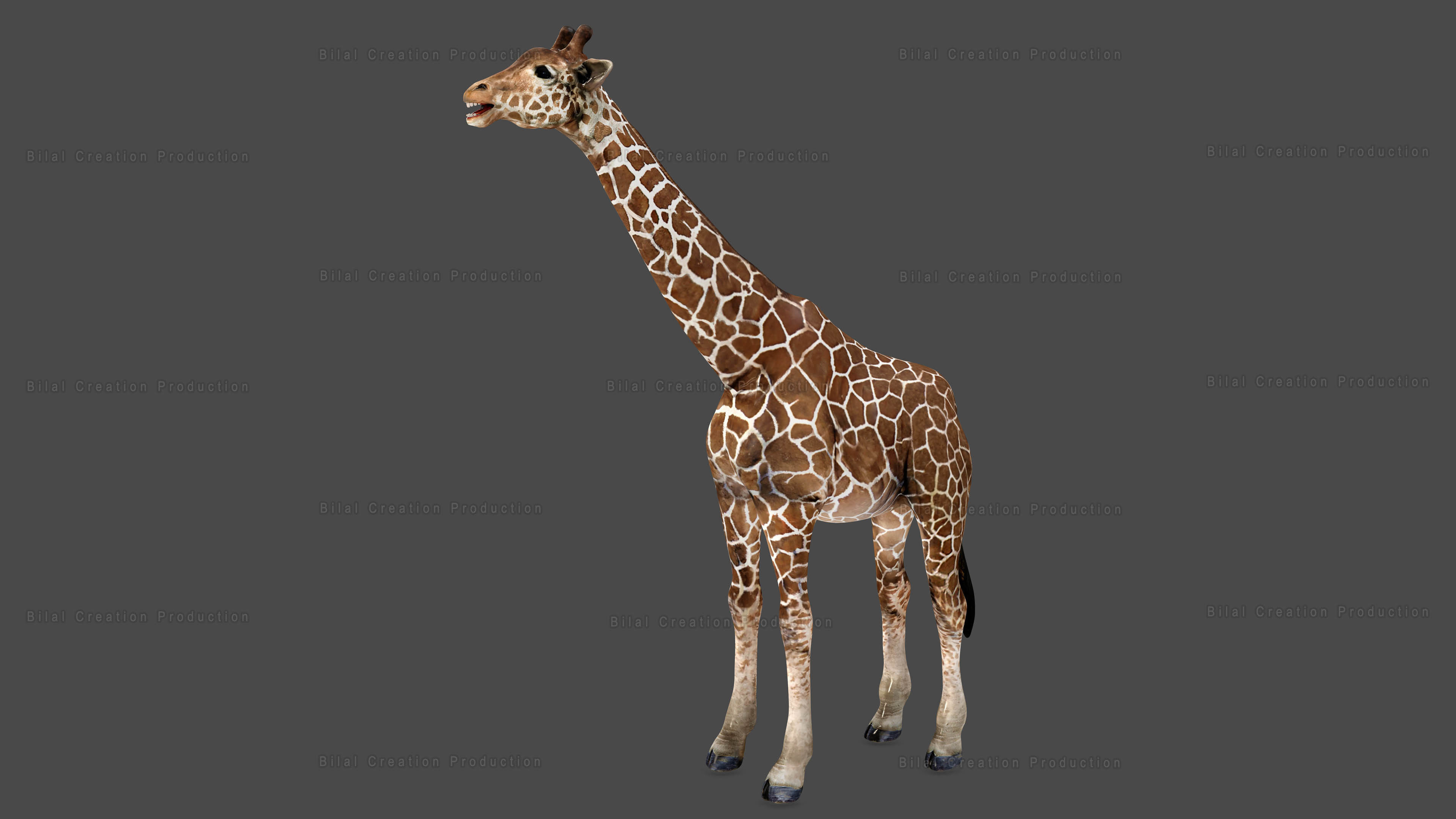 Giraffe with Animation 3D model animated rigged | CGTrader